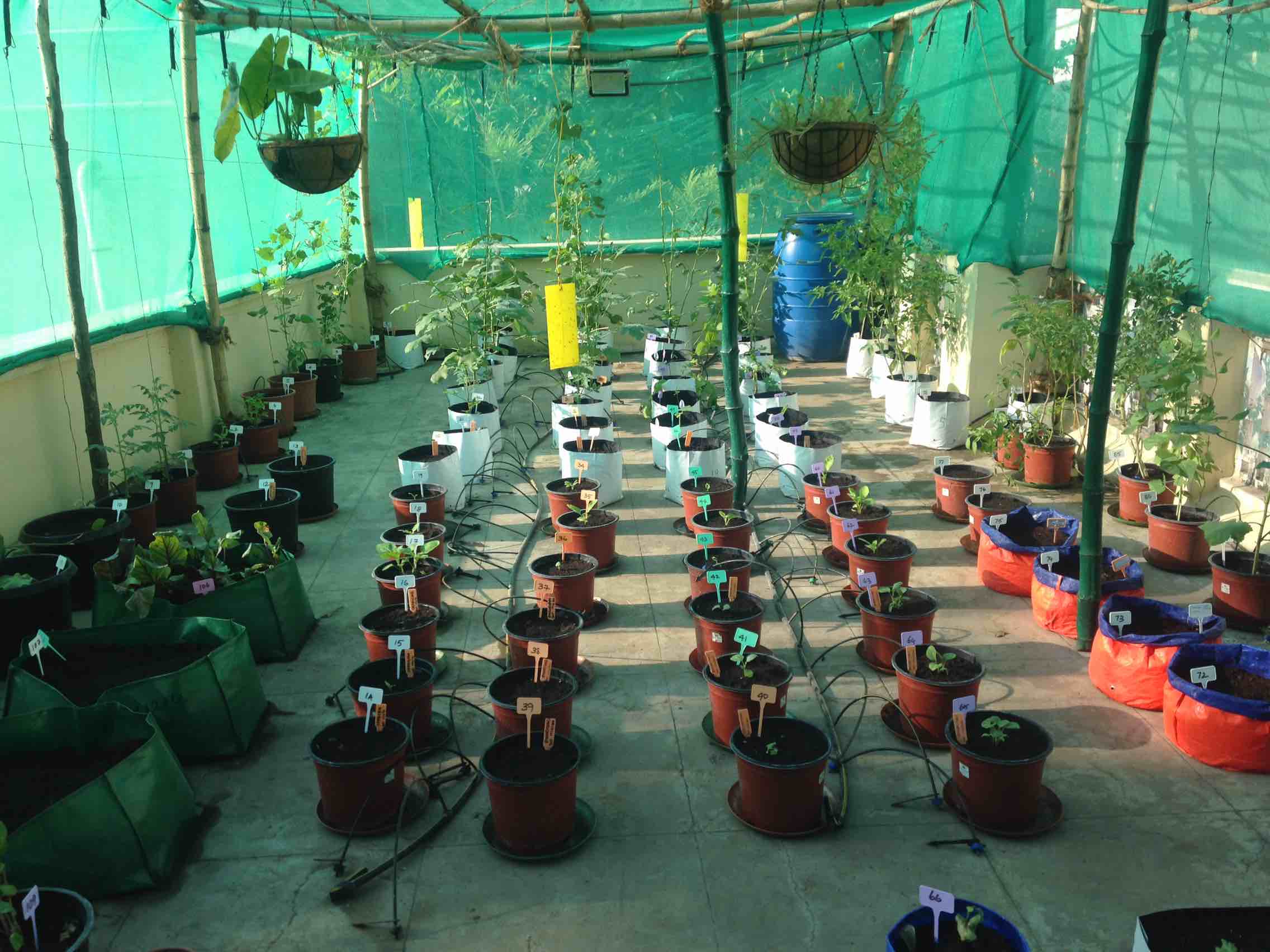 terrace garden kit in trichy