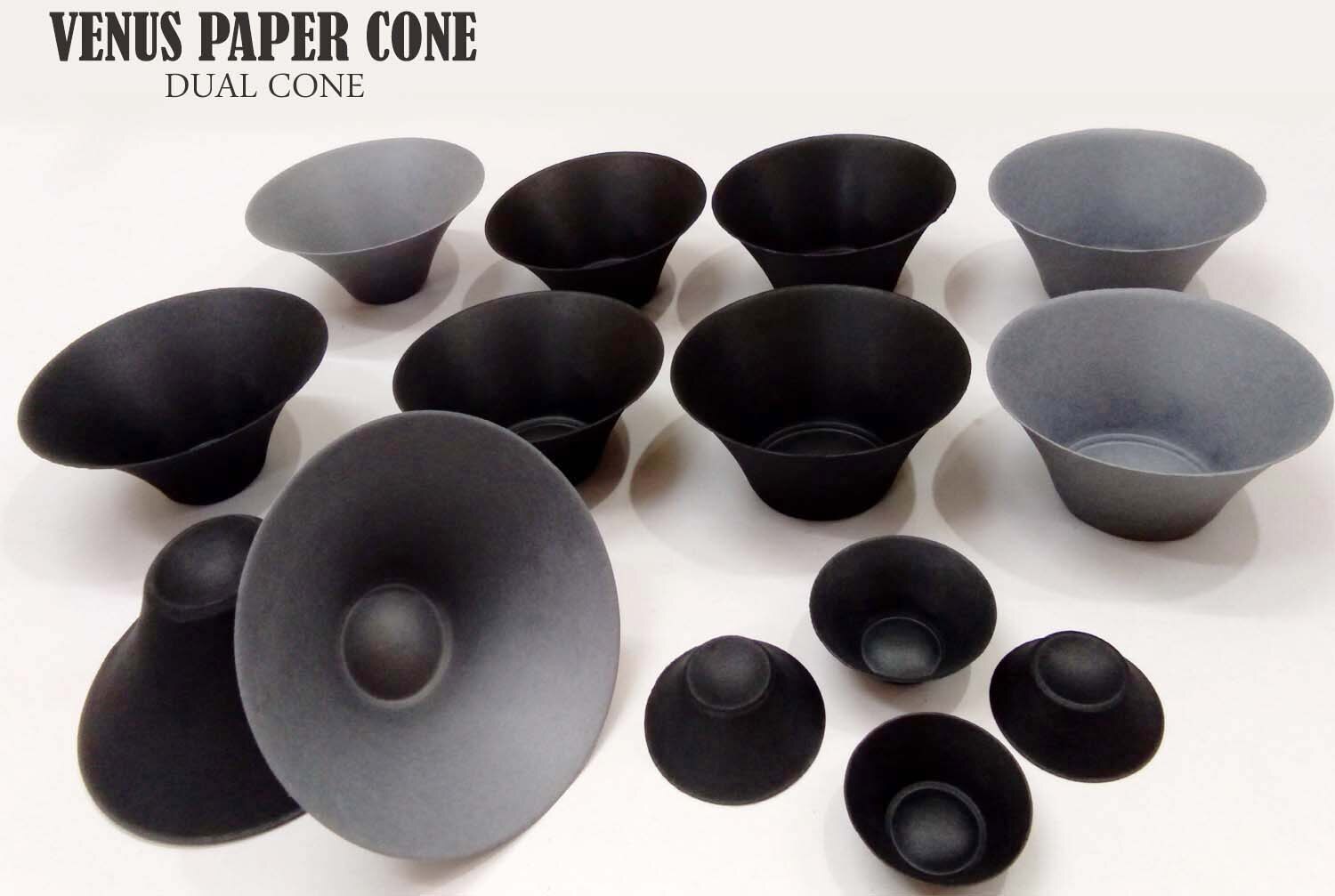 Venus Paper Cones in Jaipur, India