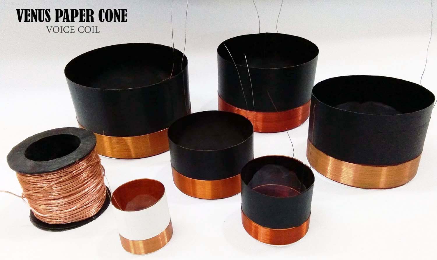 Venus Paper Cones in Jaipur, India