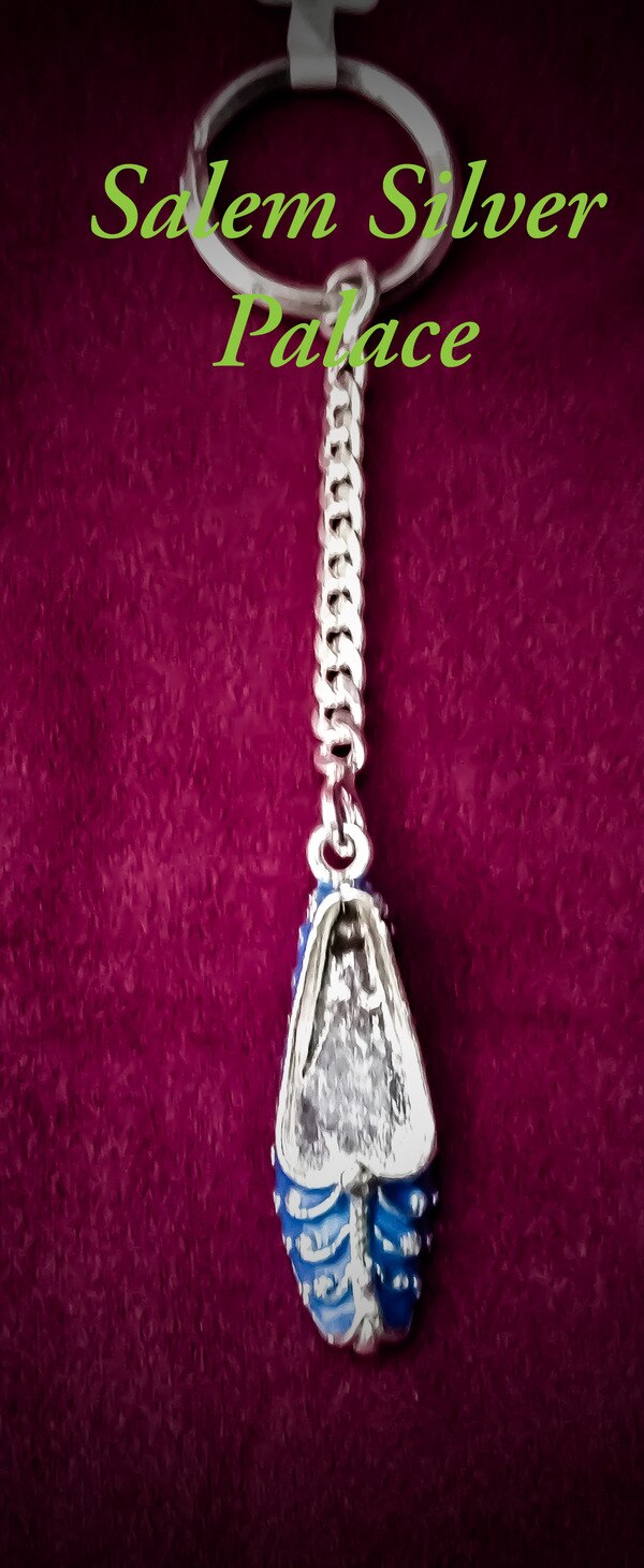 Salem Silver Palace in Salem, India